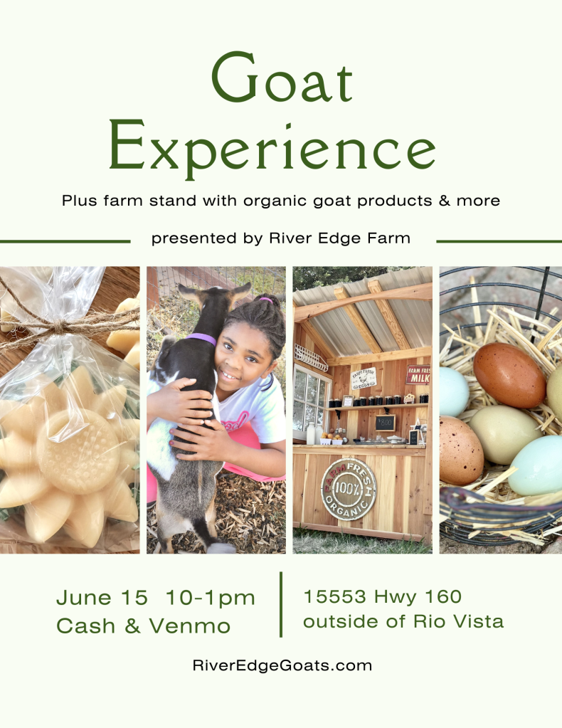 Goat Adventures – River Edge Farm